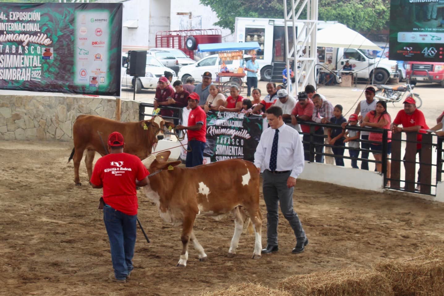 Presenta Simmental Simbrah genética de calidad internacional – TumbaPato®